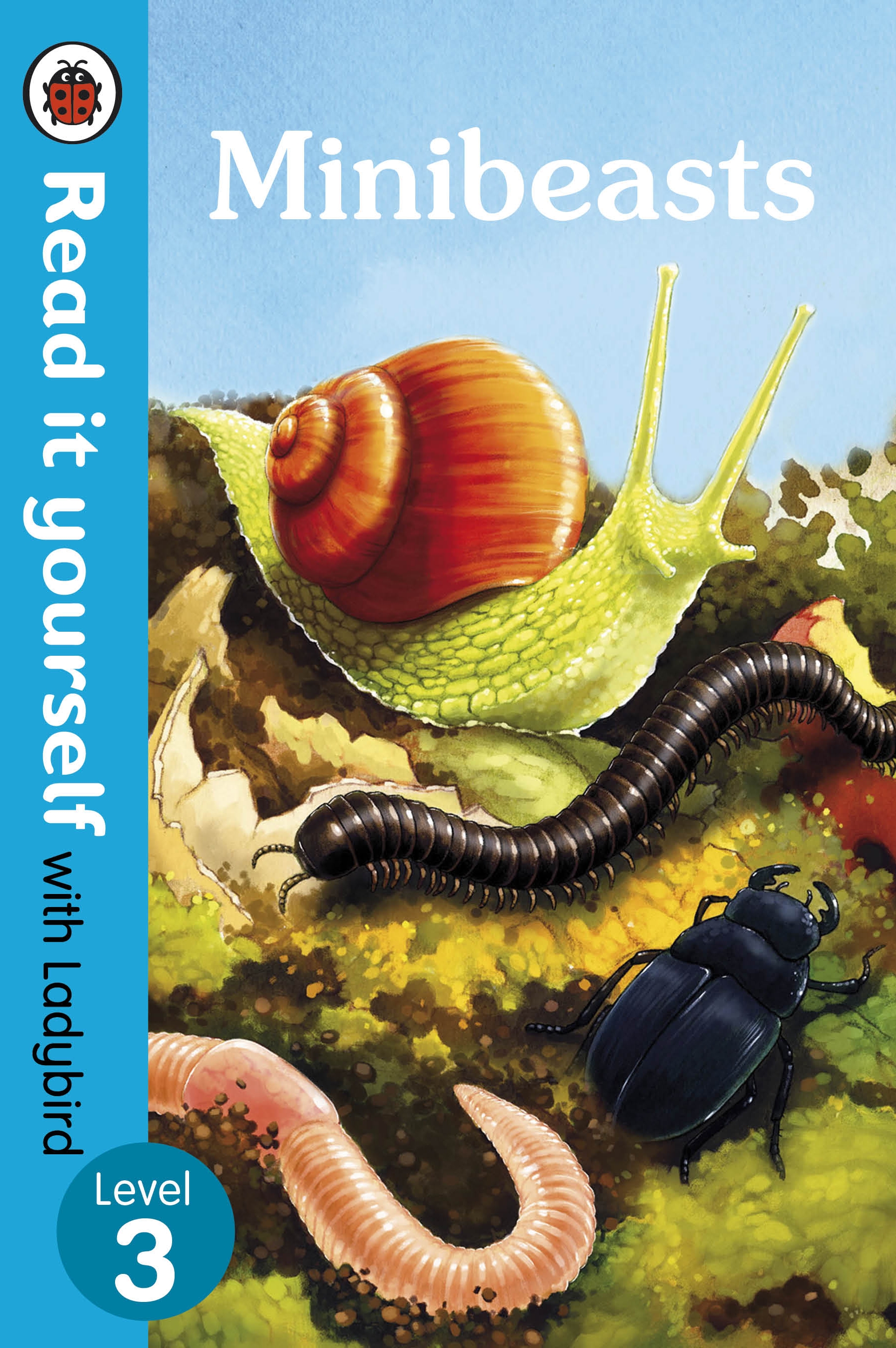 Minibeasts – Ladybird Education
