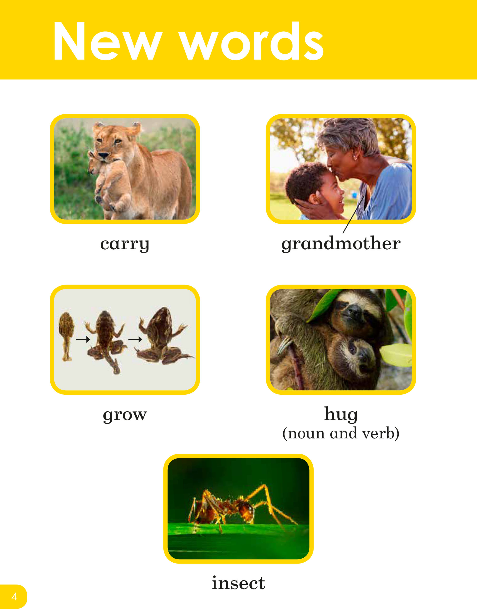 Do You Know? Activities - Ladybird Education