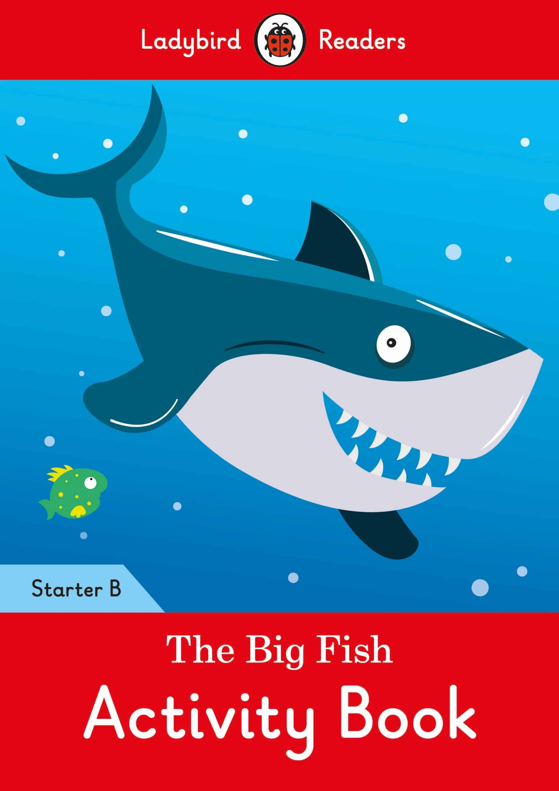The Big Fish Activity Book – Ladybird Education