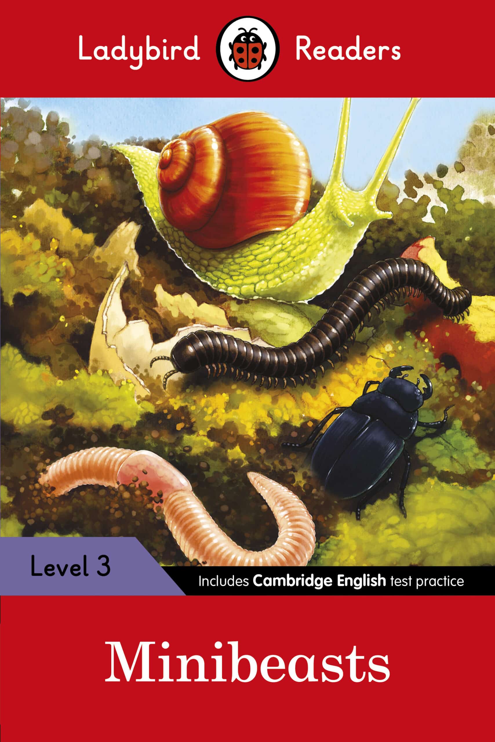 Minibeasts – Ladybird Education