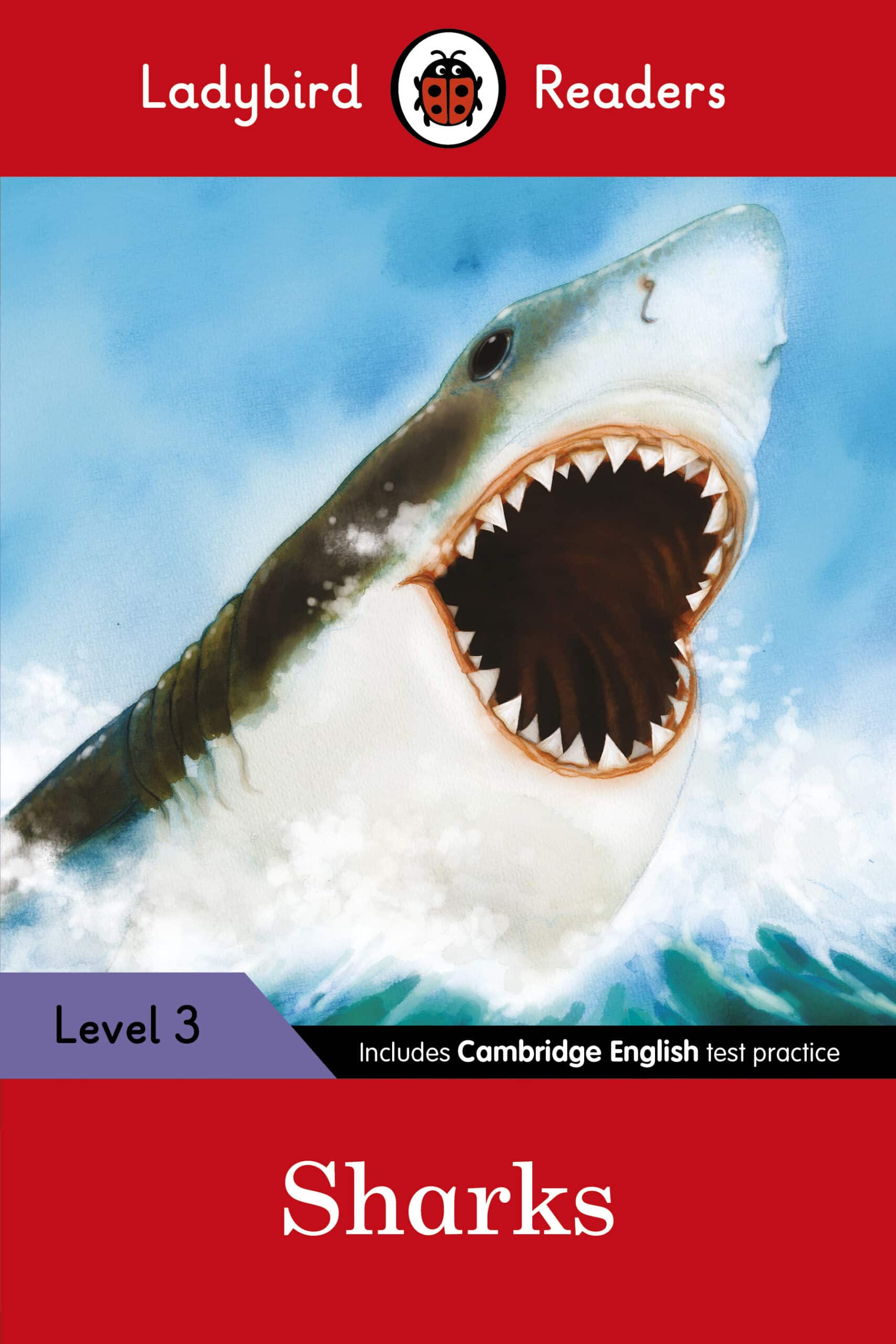 Sharks – Ladybird Education