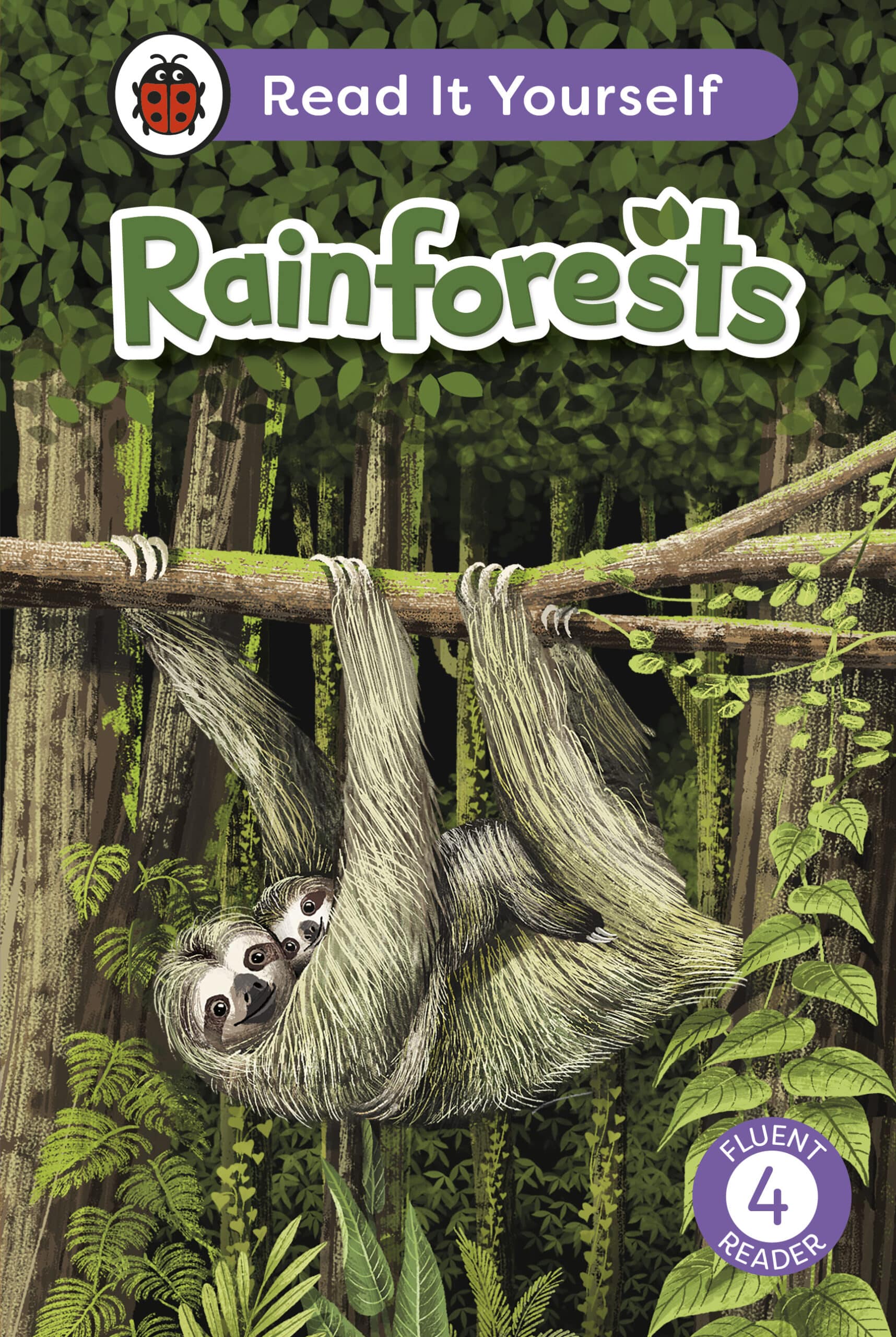 Rainforests – Ladybird Education