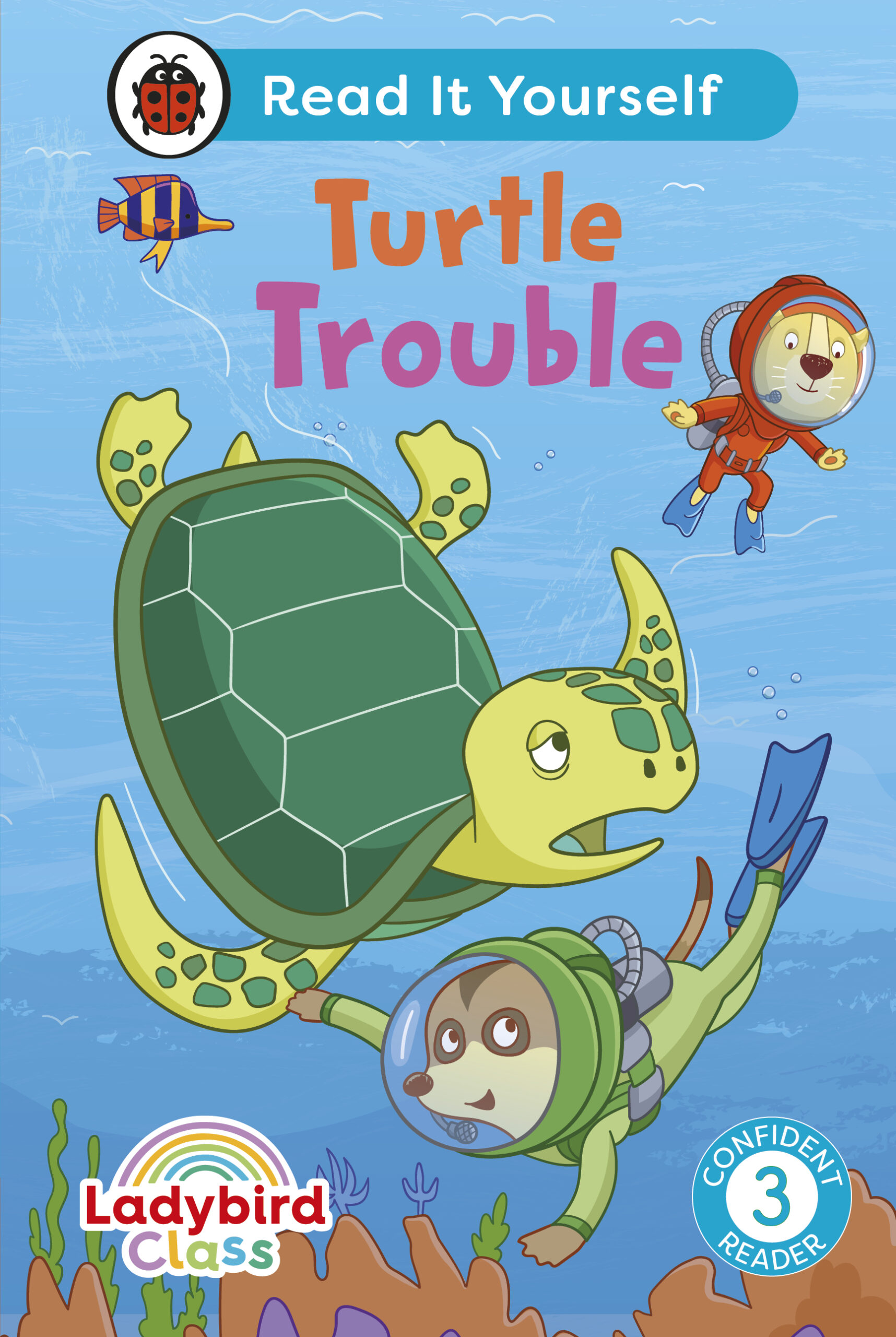 Ladybird Class: Turtle Trouble – Ladybird Education